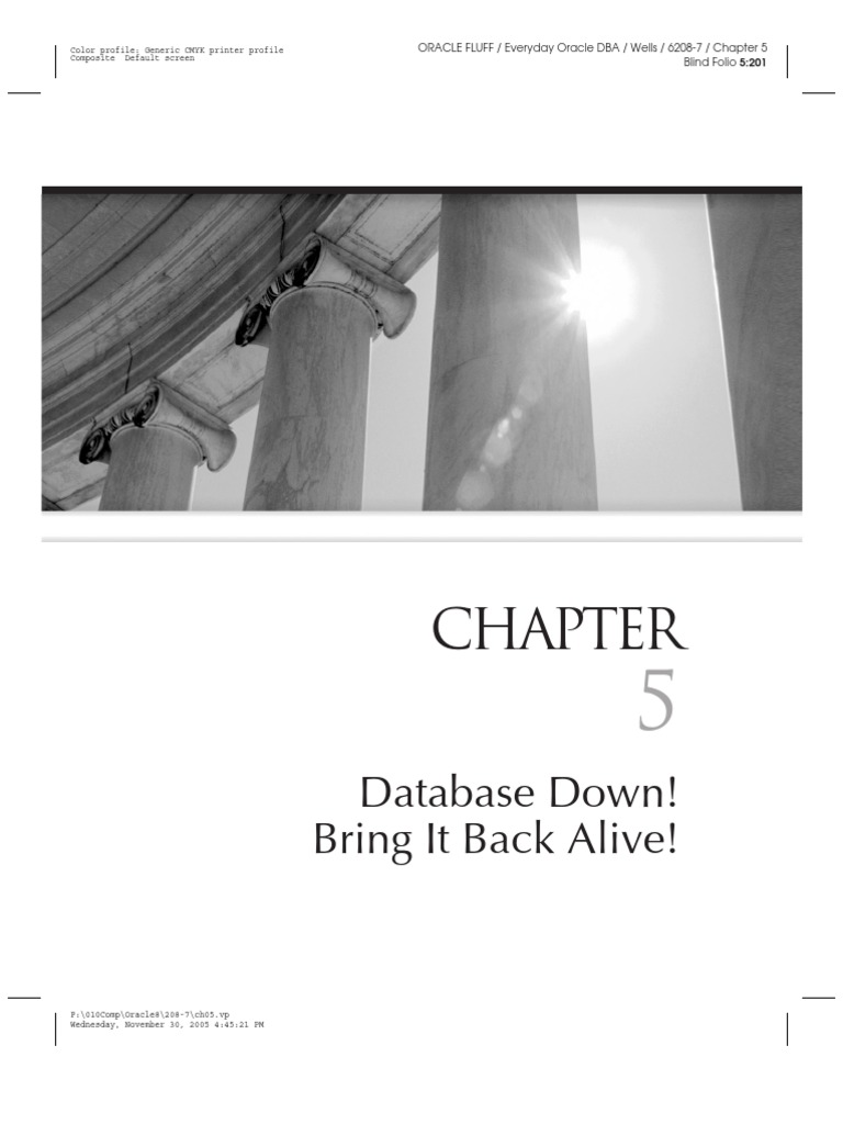 Everyday Oracle DBA - Chapter 5 - Database Down Bring It Back Alive | PDF | Oracle Database ...
