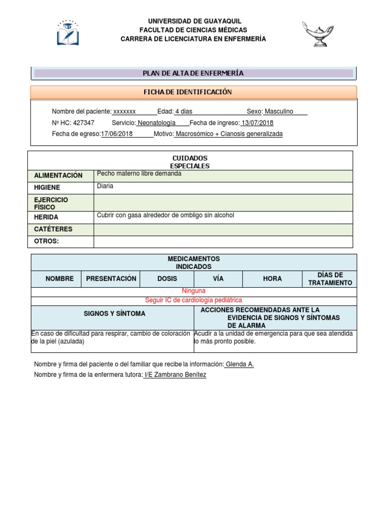 Plan de Alta de Enfermeria | PDF | Enfermería | Medicina