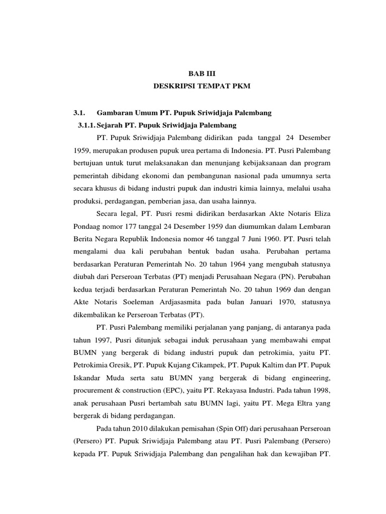 Profil PT Pusri Palembang dan Strukturnya | PDF | Bisnis | Kesehatan ...