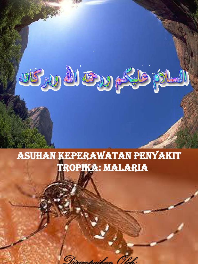 Askep Malaria Tropika | PDF