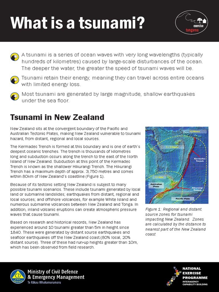 What Is A Tsunami Fact Sheet | PDF | Tsunami | Earthquakes