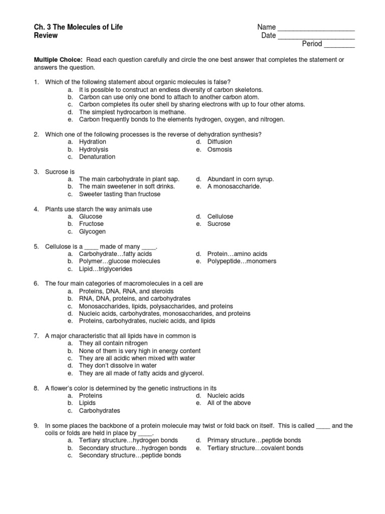 Ch. 3 Molecules of Life Review-2008 | PDF | Biomolecular Structure ...