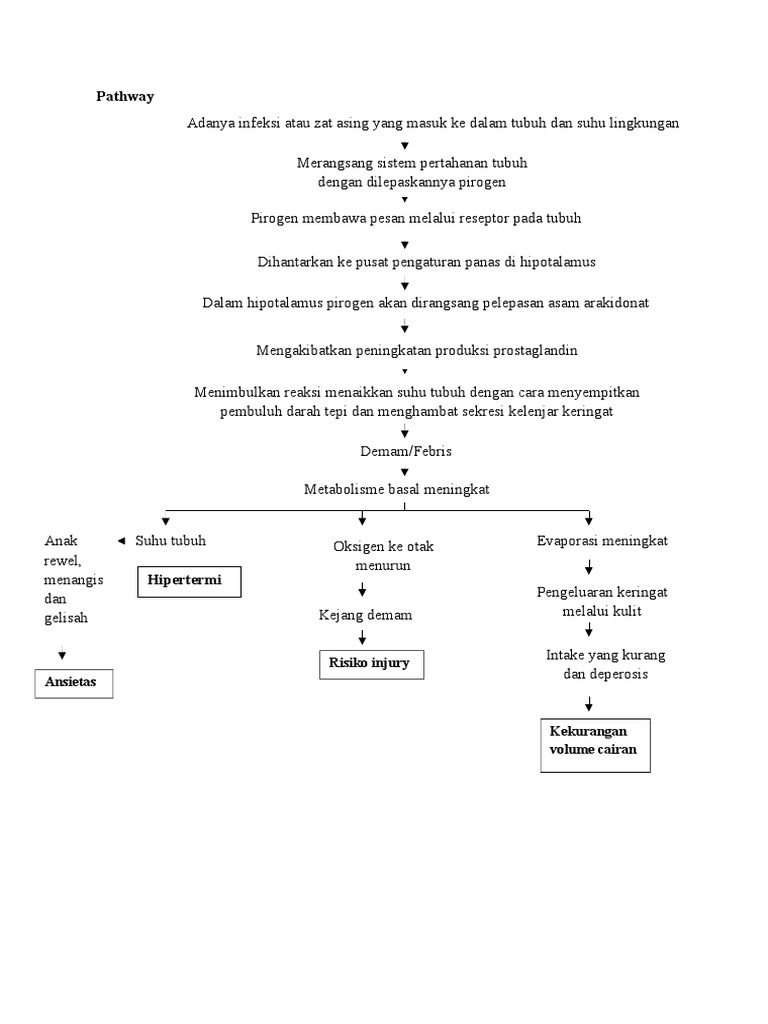 Pathway Febris Anak | PDF