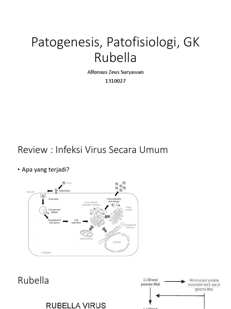 Patogenesis, Patofisiologi, GK Rubella | PDF