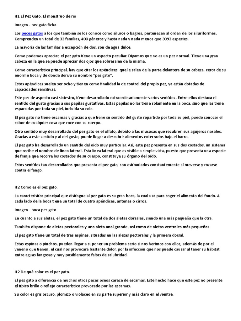 El Pez Gato | PDF | Pescado | Gusto