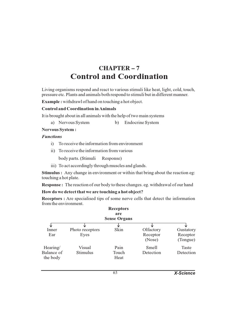 Control and Coordination: Chapter - 7 | PDF | Stimulus (Physiology ...
