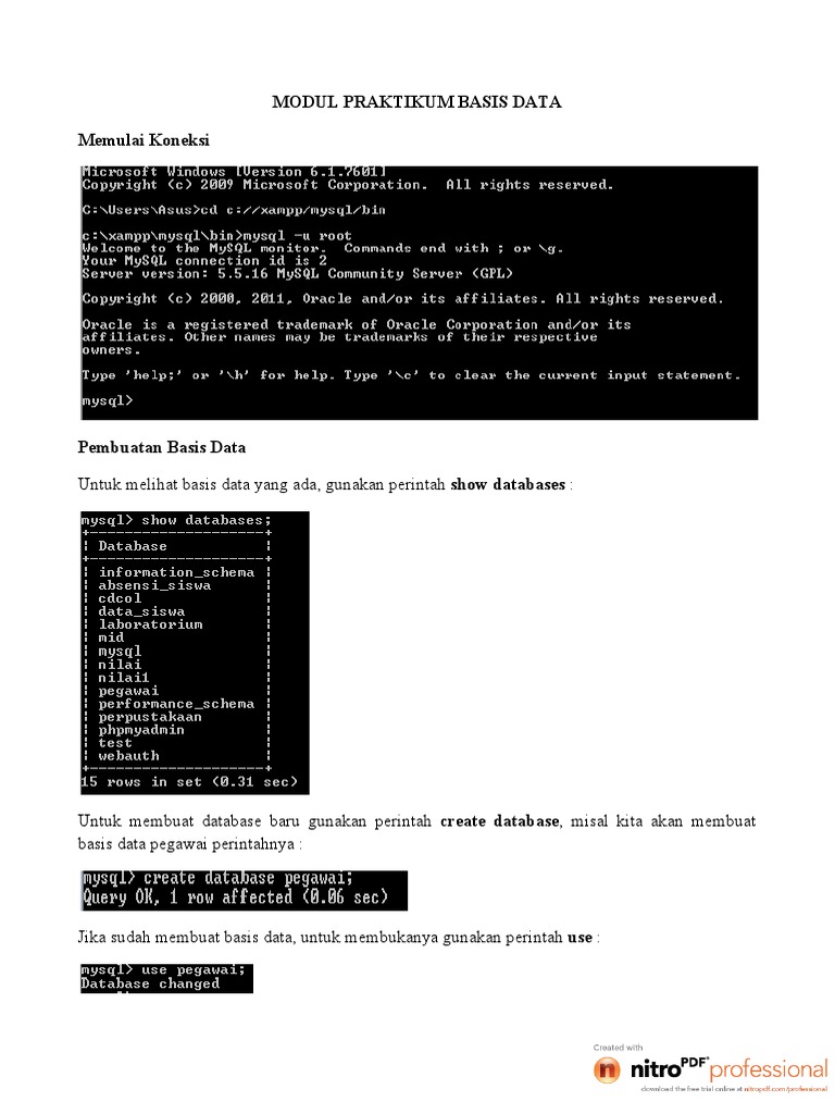 Modul Praktikum Basis Data | PDF | Komputer