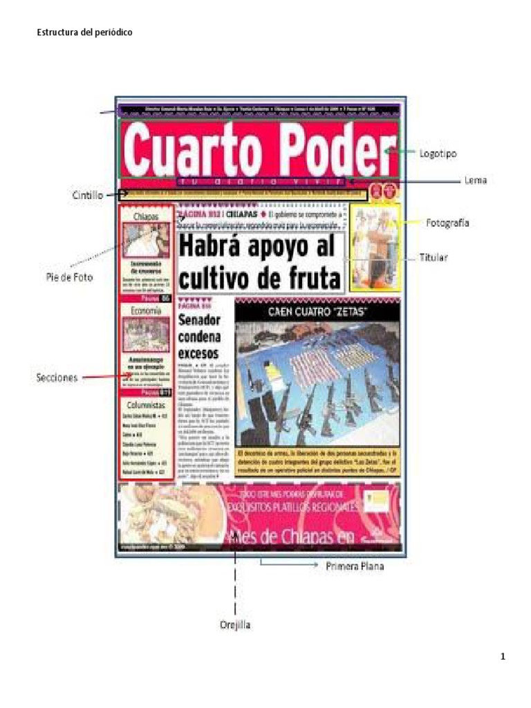 Estructura Del Periódico | PDF | Publicación | Diseño de página