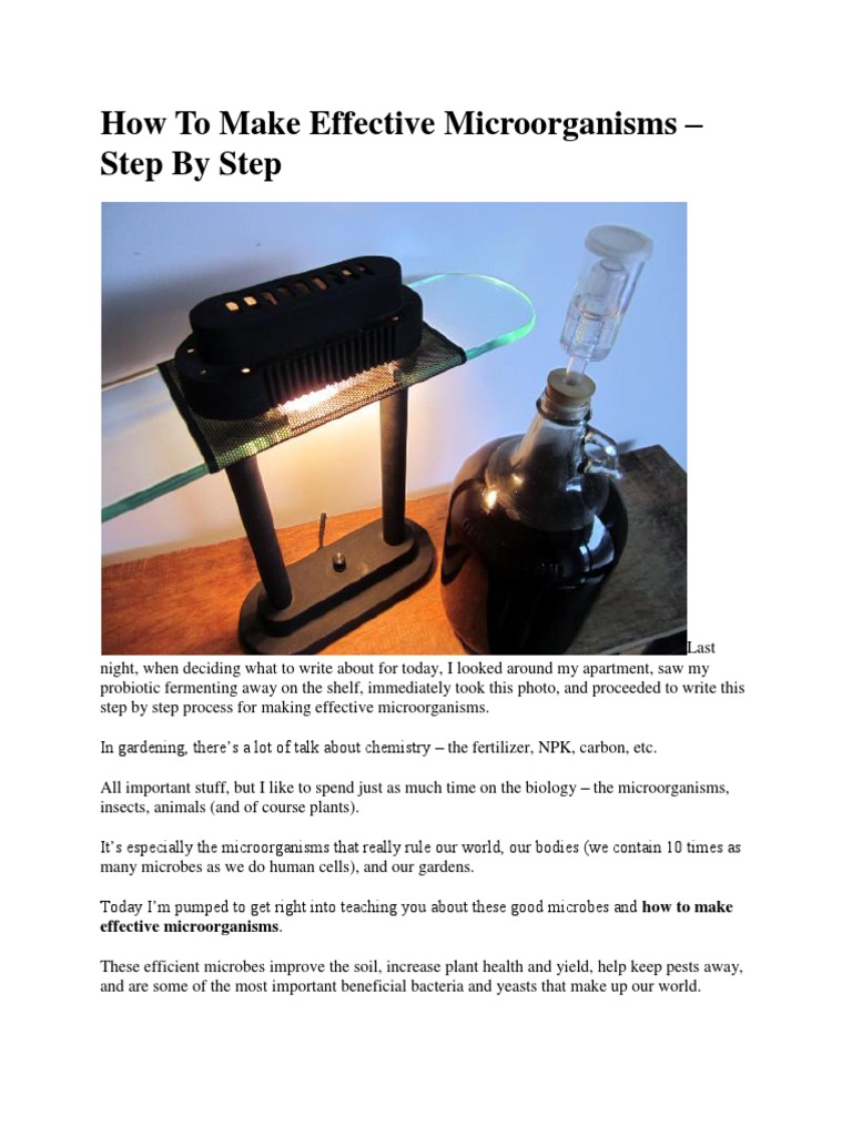 How To Make Effective Microorganisms - Step by Step | PDF | Gallon ...