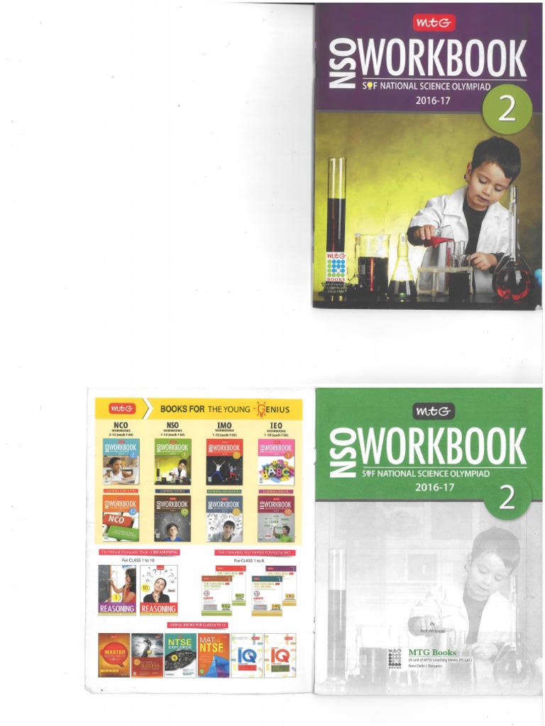 NSO Workbook Class 2 | PDF