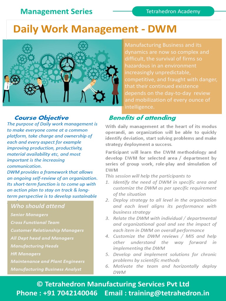 Daily Work Management - DWM Workshop by Tetrahedron | PDF | Strategic Management | Goal
