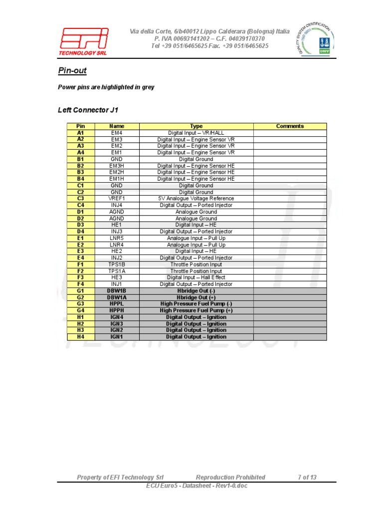 Pinout and Connector Details for an EFI Engine Control Unit | PDF ...