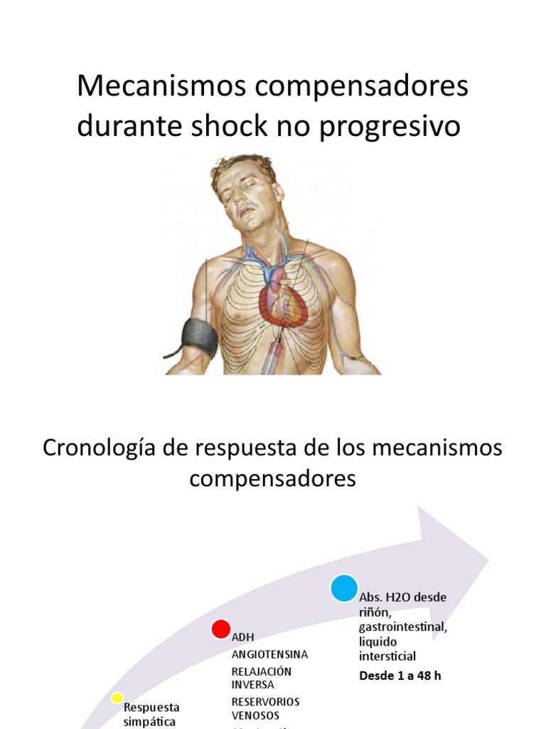 Mecanismos Compensadores Durante Shock No Progresivo | PDF