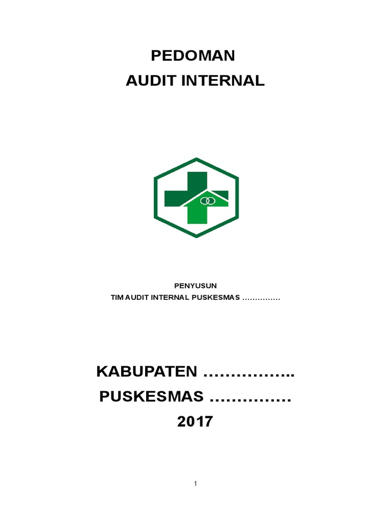 Contoh - Pedoman Audit Internal | PDF