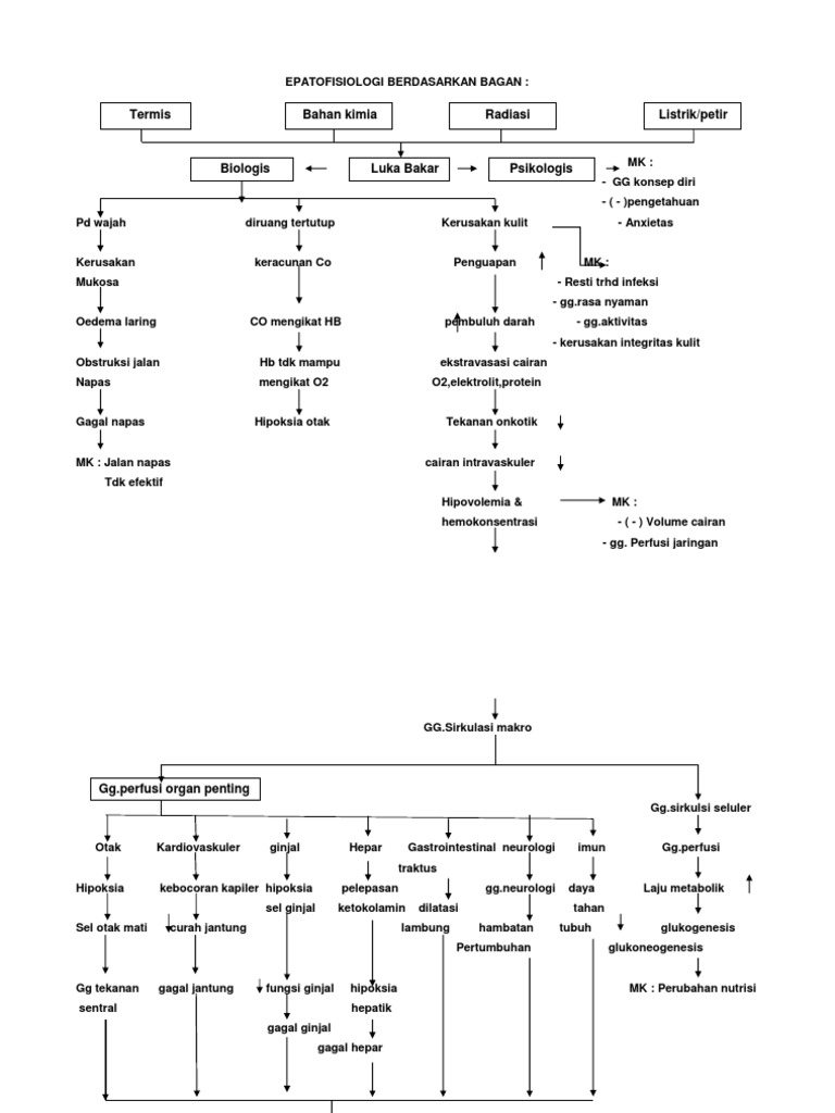 Bagan Patofisiologi Luka Bakar | PDF