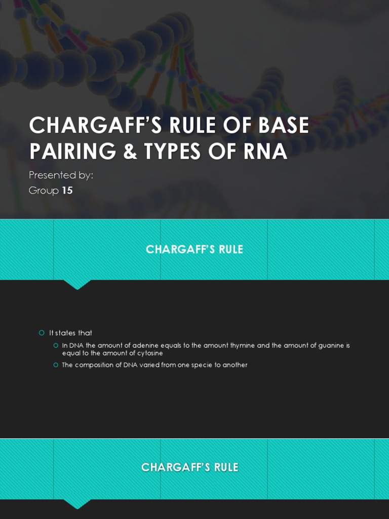Chargaff's Rule and RNA Types Explained | PDF