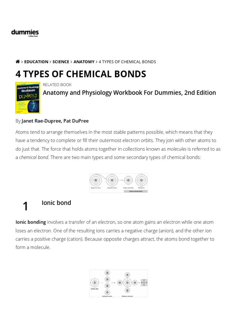4 Types of Chemical Bonds - Dummies | PDF | Chemical Bond | Ion