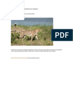 Class 10th Ch_2_Forest and Wildlife Resources | PDF | Biodiversity ...