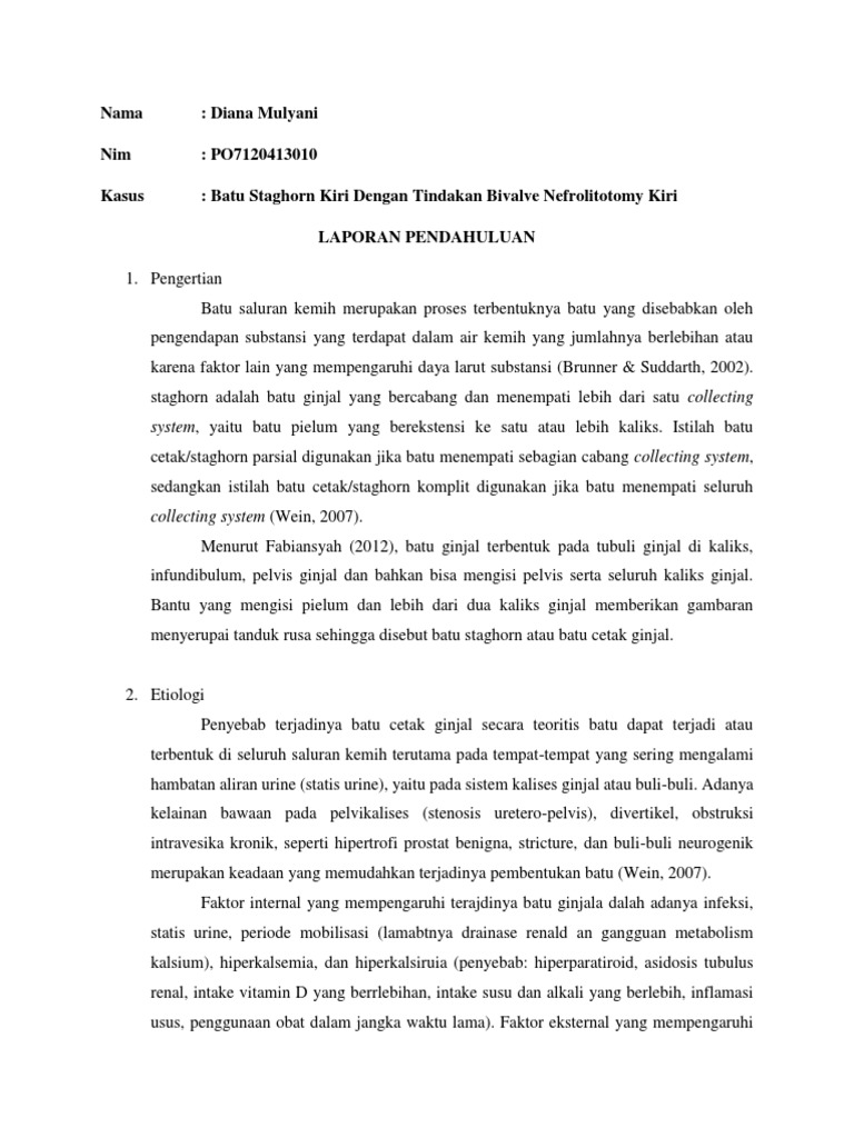 Mengelola Batu Staghorn Kiri dengan Nefrolitotomi Bivalve | PDF