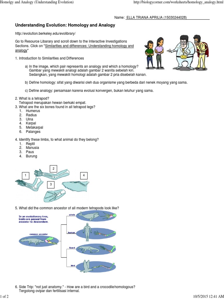 Homolgy and Analogy (Understanding Evolution) | PDF | Social Science