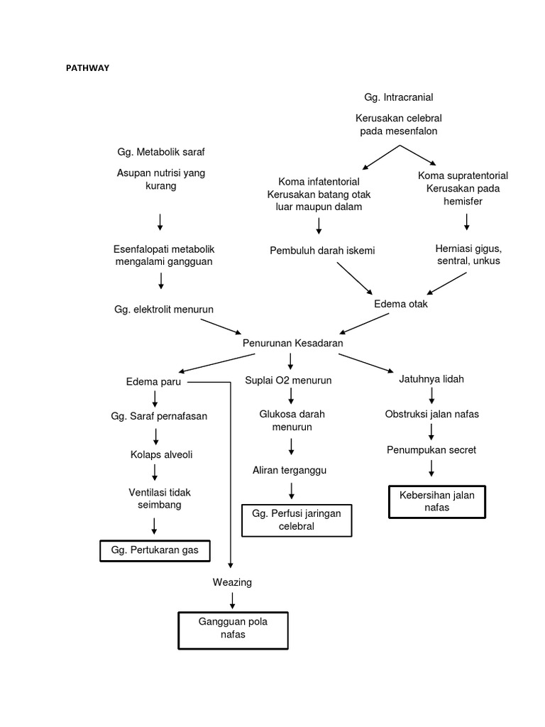 Pathway Penurunan Kesadaran