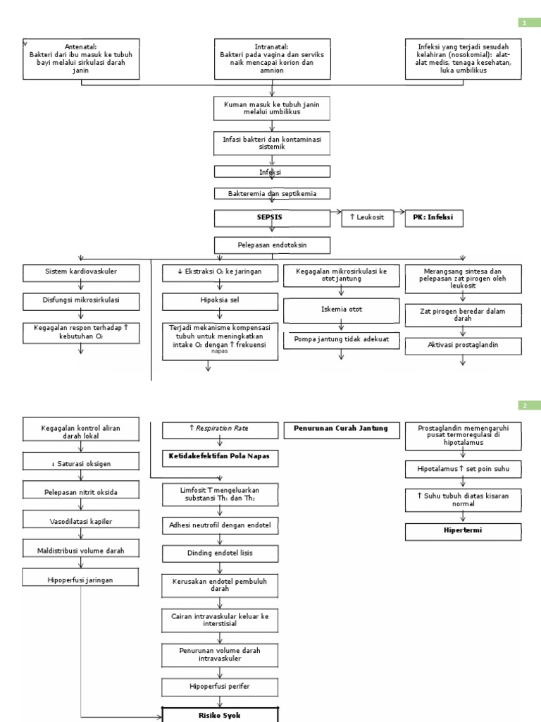 Woc Sepsis Neonatorum | PDF