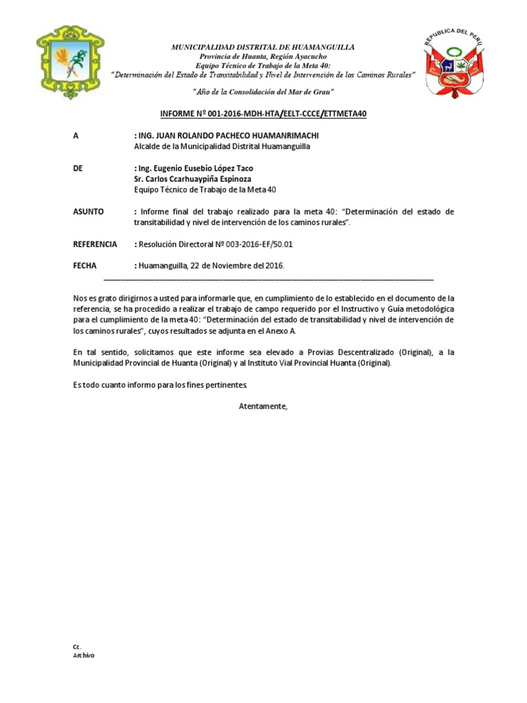 Anexo 8 Informe Final Ejecucion de Meta (Original) | PDF | Business