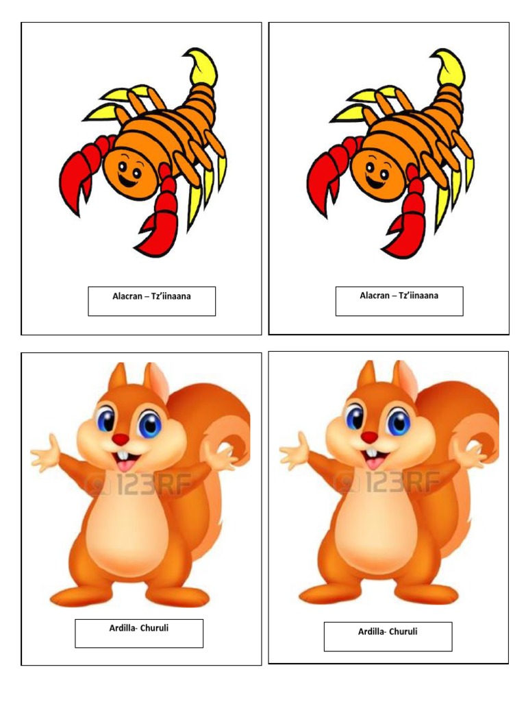 Memoria en Xinca y Animales | PDF