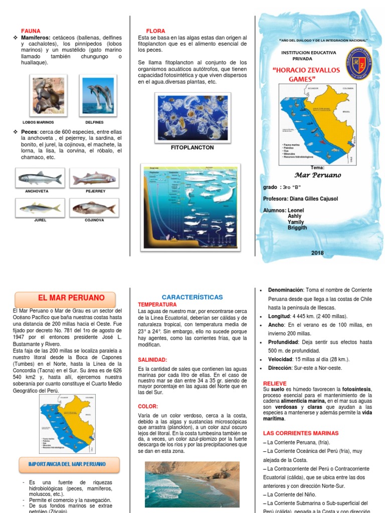 Triptico Mar | PDF | Oceanografía | Ciencias de la Tierra