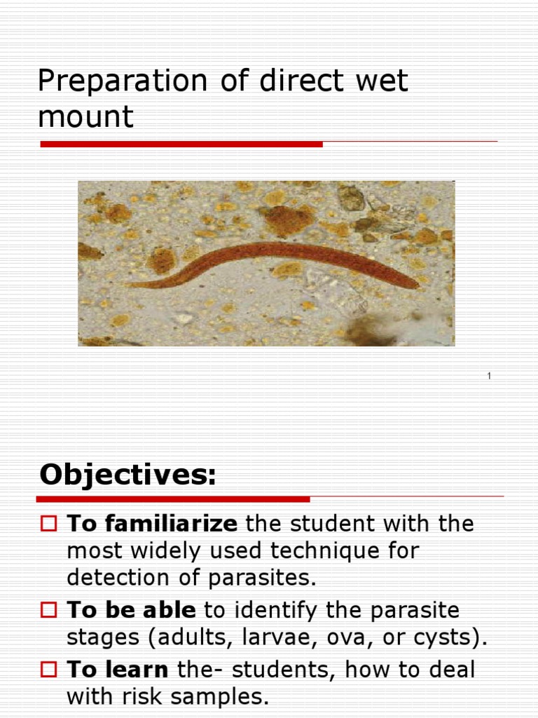 Wet Mount | PDF | Medical Specialties | Wellness