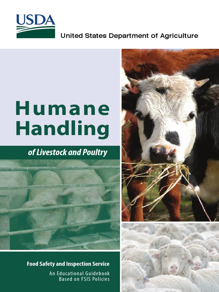 Humane Handling Guide for Livestock | PDF | Animal Slaughter | Food Safety