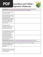 Carbon Cycle Graphic Organizer Rubric | PDF | Rubric (Academic ...