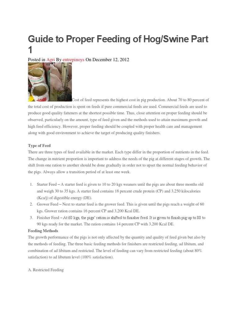 Guide To Proper Feeding of Hog | PDF | Domestic Pig | Wild Boar