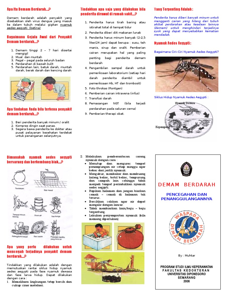 Leaflet DHF | PDF