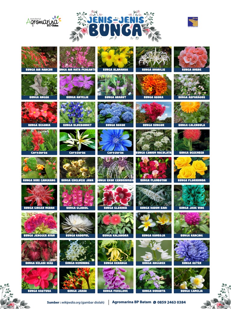 Poster Bunga | PDF