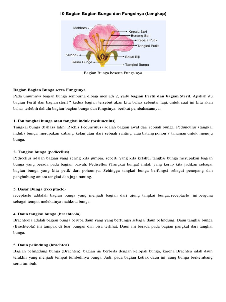 10 Bagian Bagian Bunga Dan Fungsinya | PDF