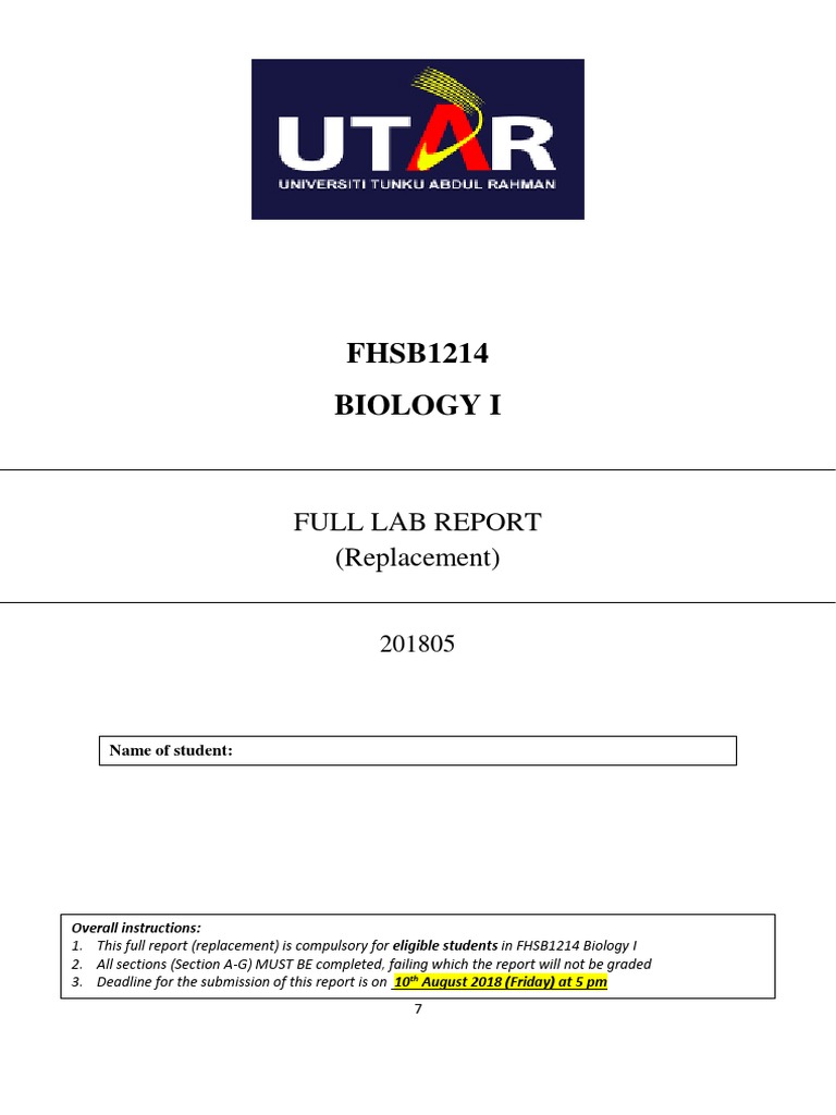 Replacement Report Template Practical 7 Student | PDF