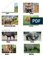 SOP MESO (Monitoring Efek Samping Obat) | PDF