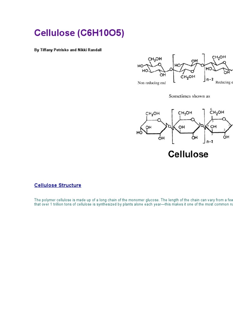Cellulose (C6H10O5) : by Tiffany Petrisko and Nikki Randall | PDF