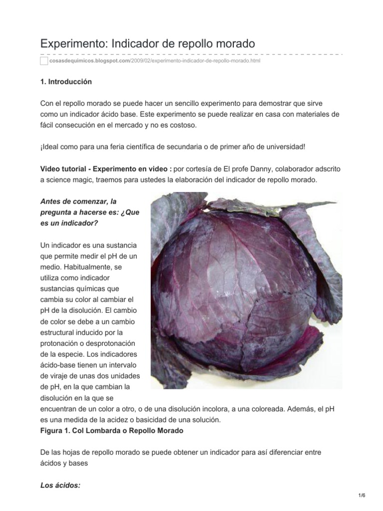 Experimento de pH con repollo morado | PDF | Ph | Ácido
