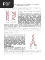 Monografia Lipotron Cápsulas | PDF | Metabolismo | Lípido