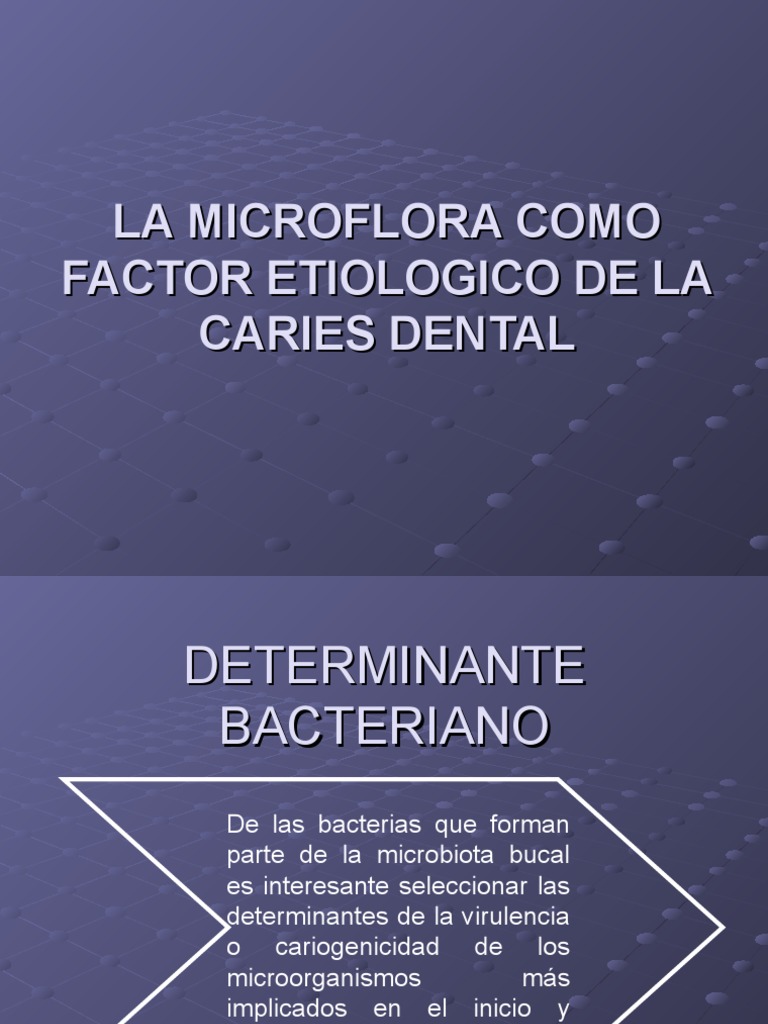 Microflora | PDF | Las bacterias | Biología