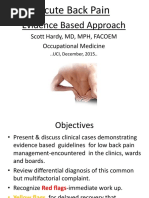 CORE Back Tool | PDF | Low Back Pain | Back Pain