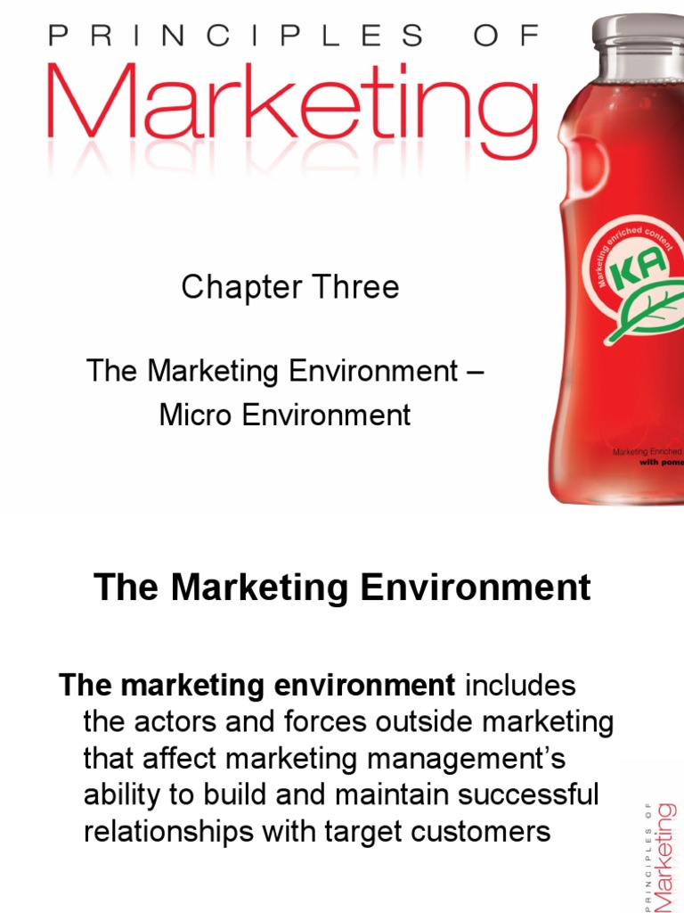 Chapter Three: The Marketing Environment - Micro Environment | PDF ...