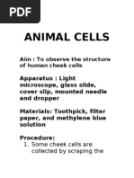 Peka 1 (Animal and Plant Cell) | PDF | Microscopy | Optics