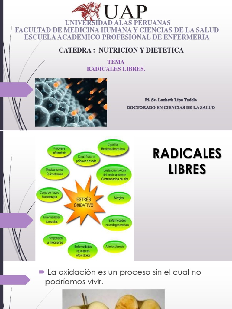 Radicales Libres | PDF | Antioxidante | Radical (Química)