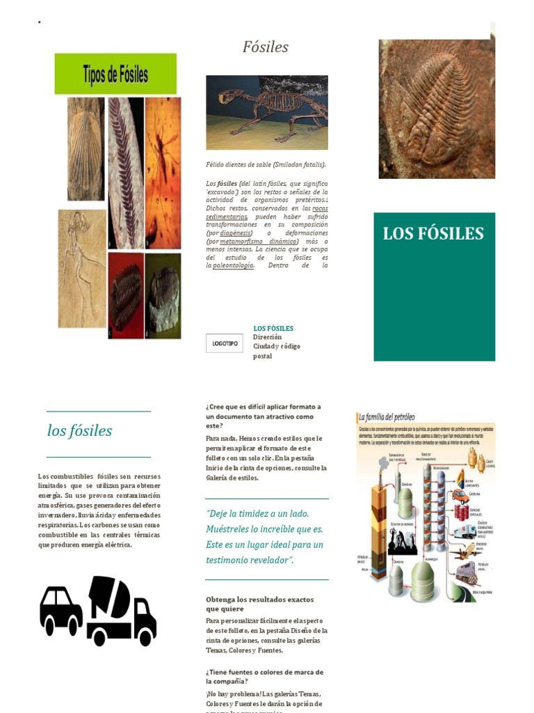 Trabajo Los Fósiles | PDF | Fósil | Paleontología