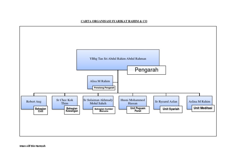 Carta Organisasi Syarikat Rahim | PDF