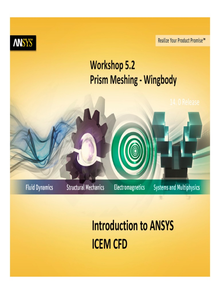 Workshop 5.2 Prism Meshing Wingbody: Introduction To ANSYS Icem CFD | PDF | Volume | Geometry