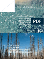 Ploaia Acida | PDF